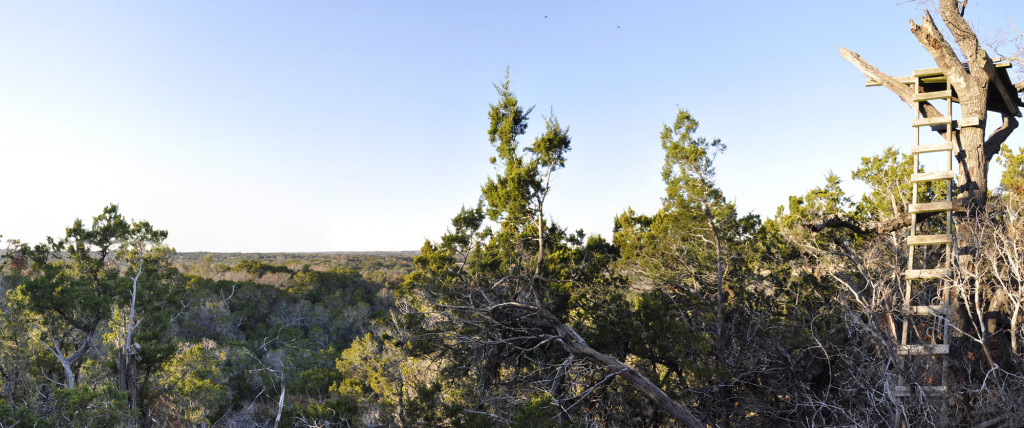 Parson Architecture Austin Hill Country Horizon Line House 11 Site ...